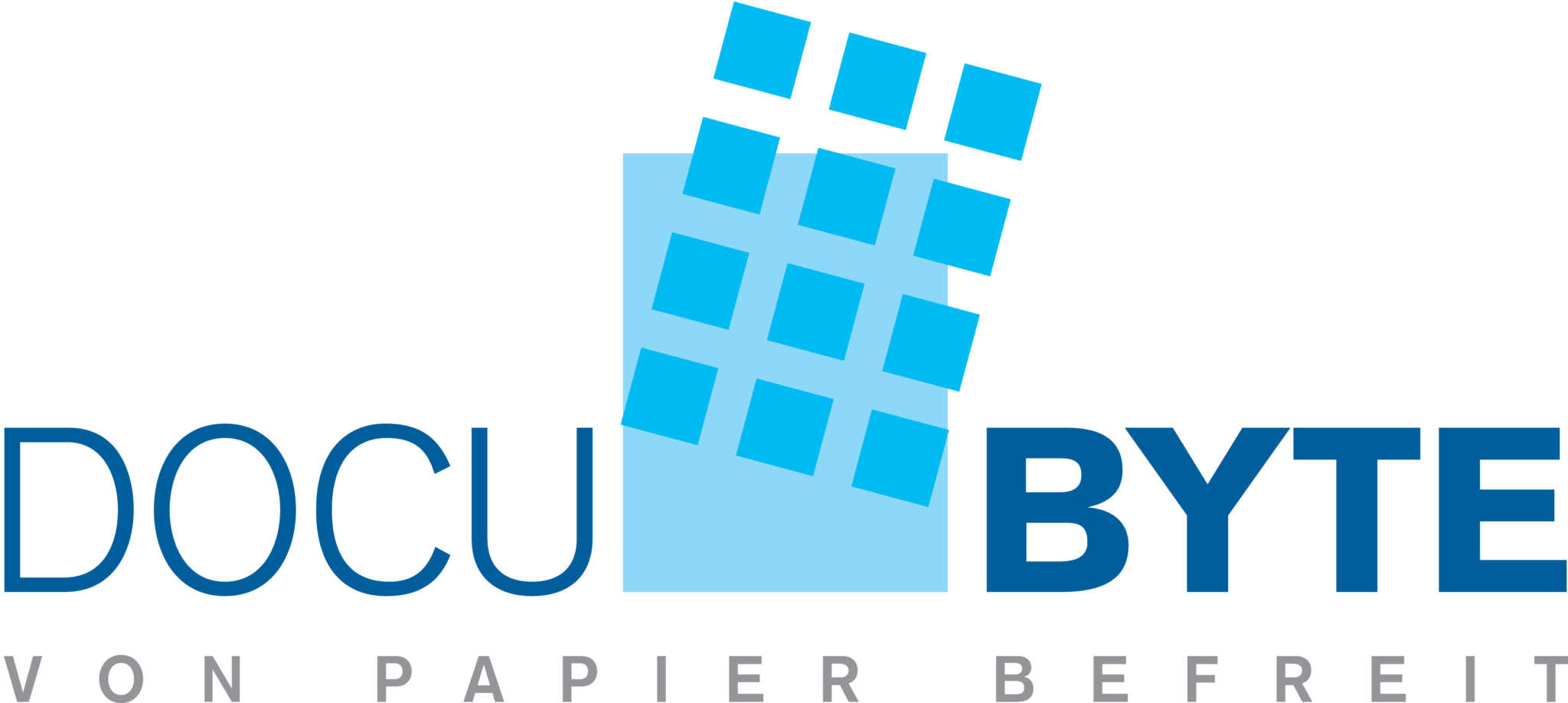 Mit dem Docubyte Online Archiv revisionssicher Archivieren